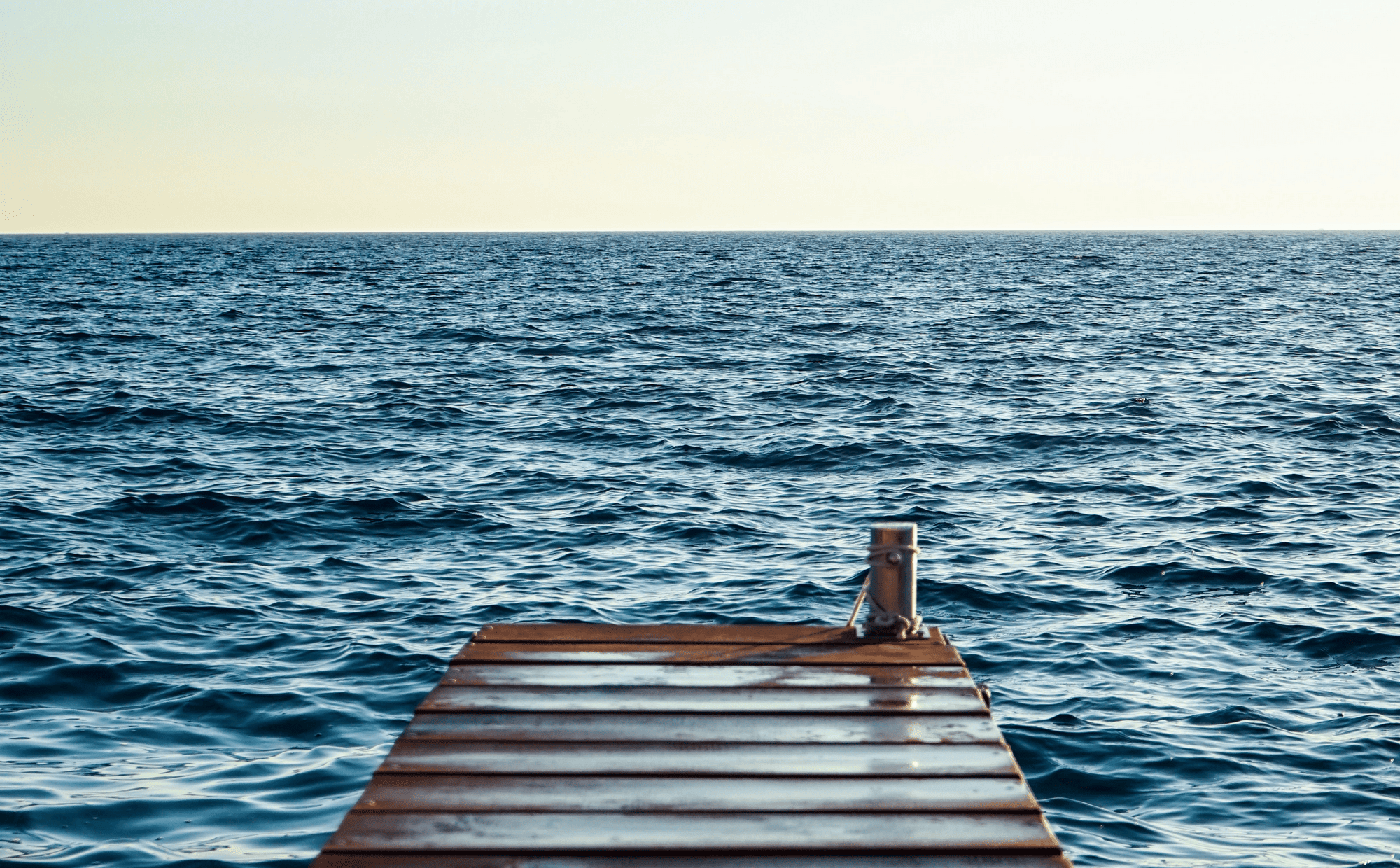 What Is a Dead-End Pathway? A Conversation with Dr. James Meadowcroft ...